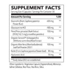 Bladder Daily Comfort - Femetry